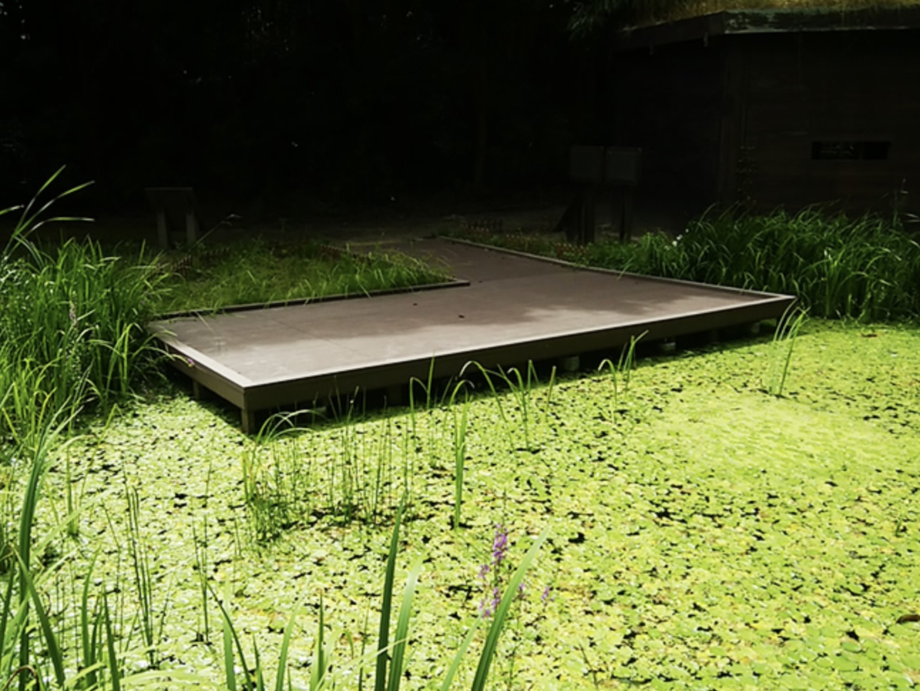 公園のウッドデッキはEee-woodの使用がおすすめ！